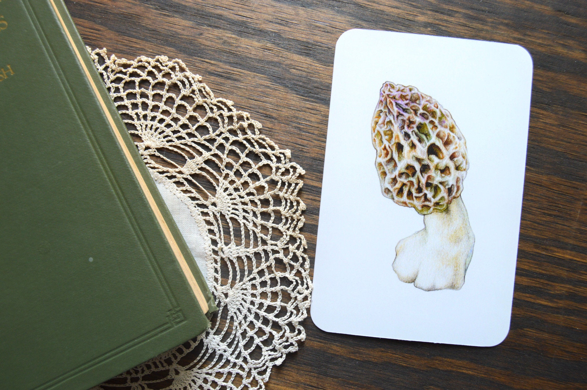 Mushroom Trio, Set of Three Glossy Mini Mushroom Prints - Etsy