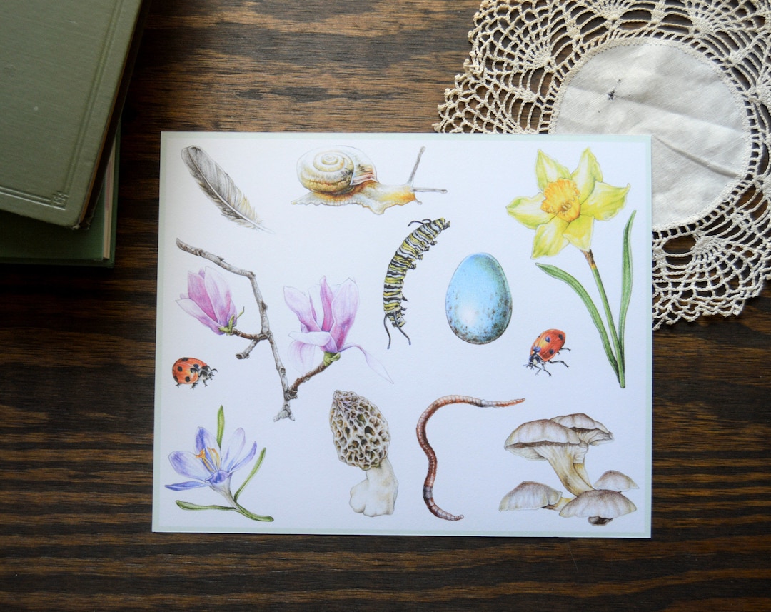 Spring Forager Fine Art Print, 8 X 10 Colored Pencil Drawing - Etsy