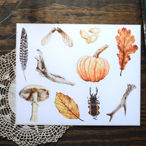 Fall Foraging Fine Art Print, 8 X 10 Colored Pencil Drawing - Etsy