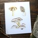 Mushroom Forager Fine Art Print, 8x10 Colored Pencil Drawing - Etsy