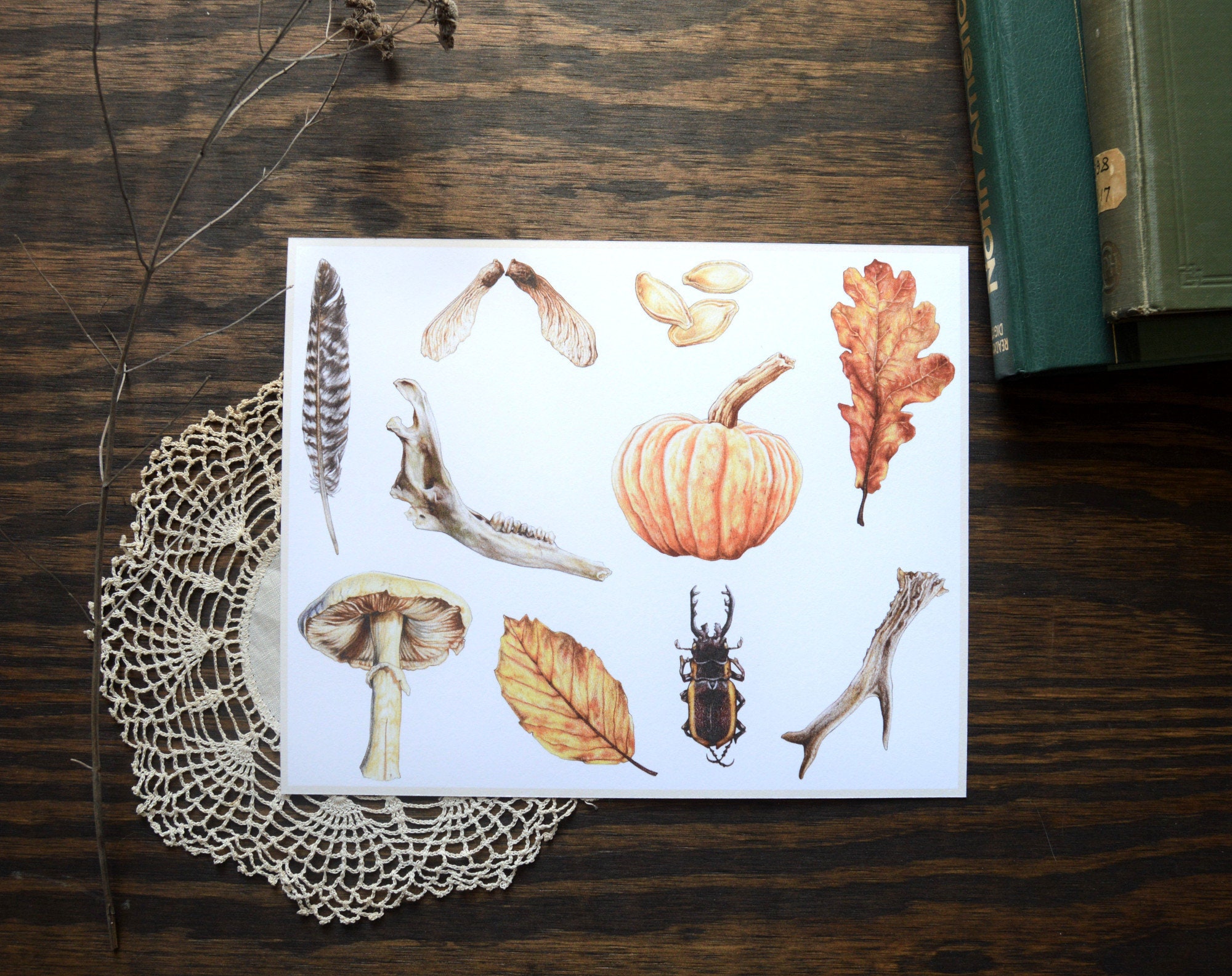 Fall Foraging Fine Art Print 8 X 10 Colored Pencil Drawing - Etsy