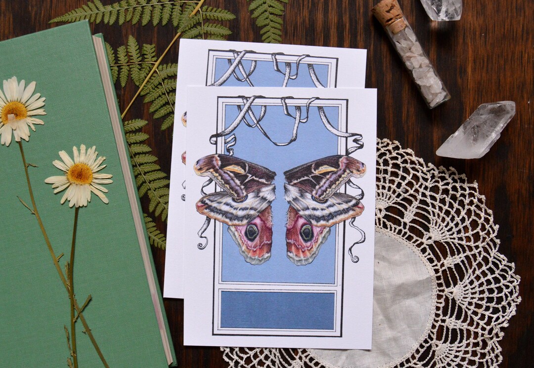 Mythical Moth Print, 5x7 Colored Pencil Natural History Illustration - Etsy