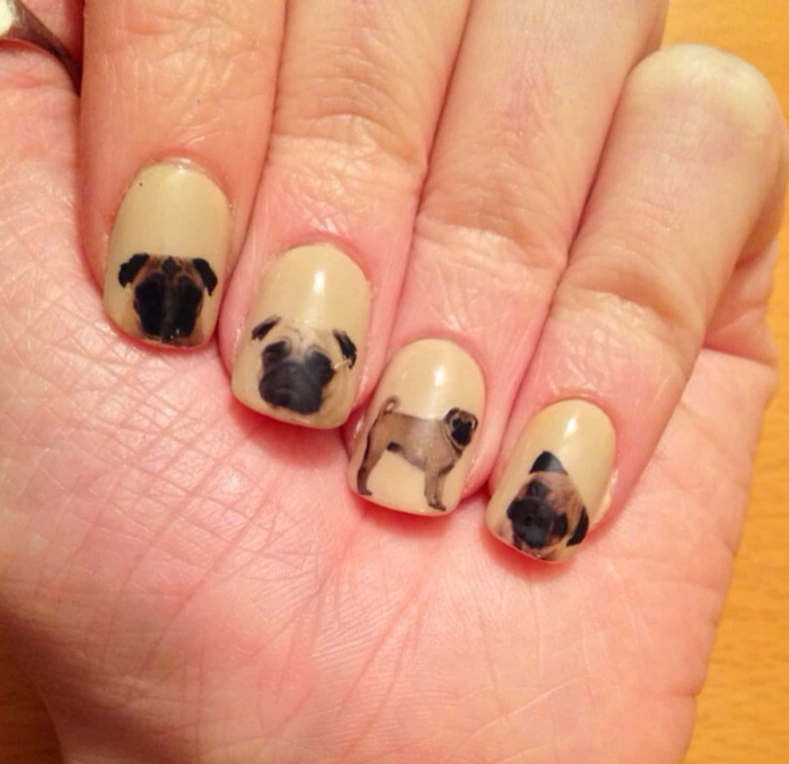 Pug Nail Decals - Etsy