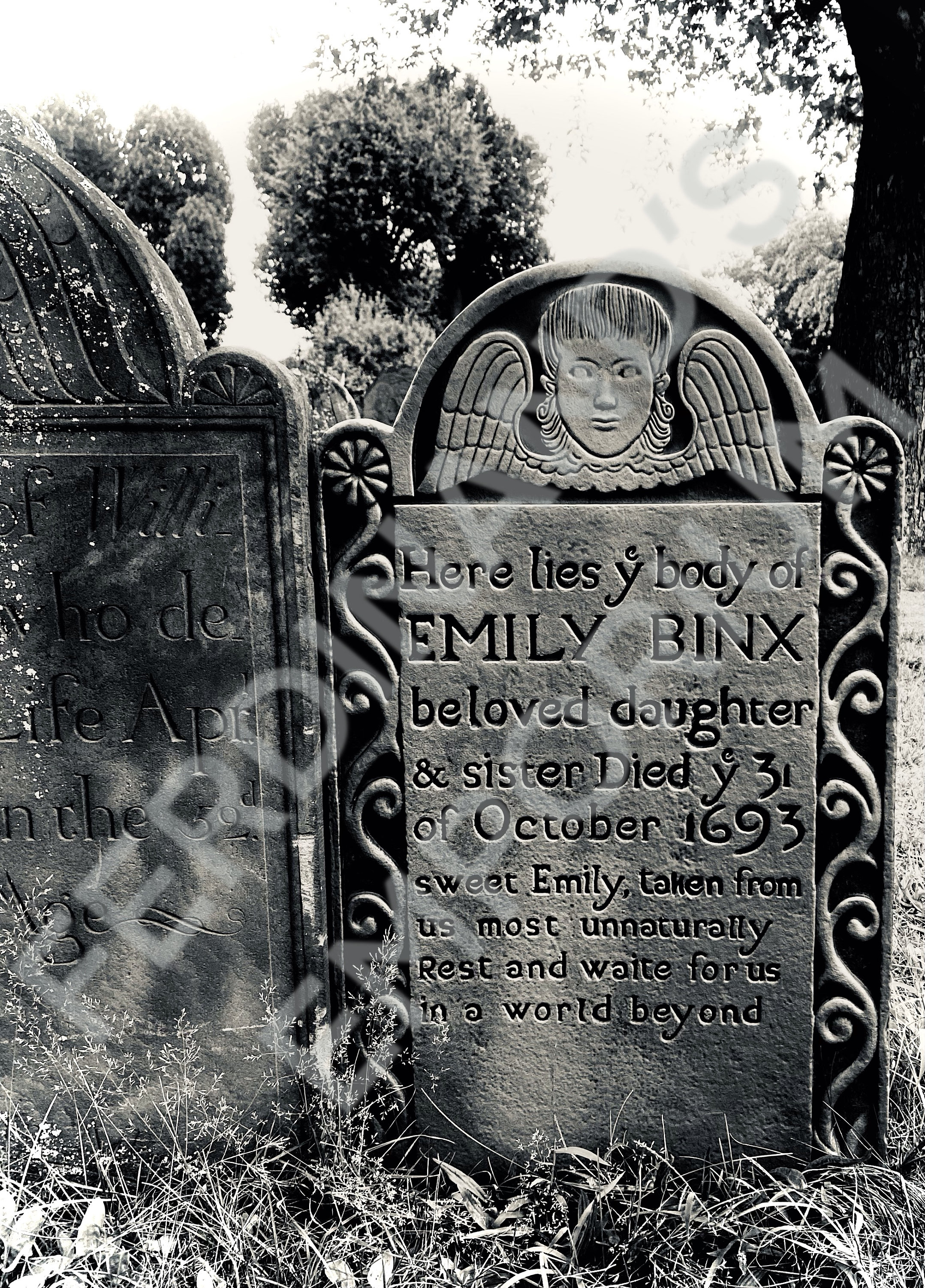 Hocus Pocus Emily Binx Tombstone - Etsy