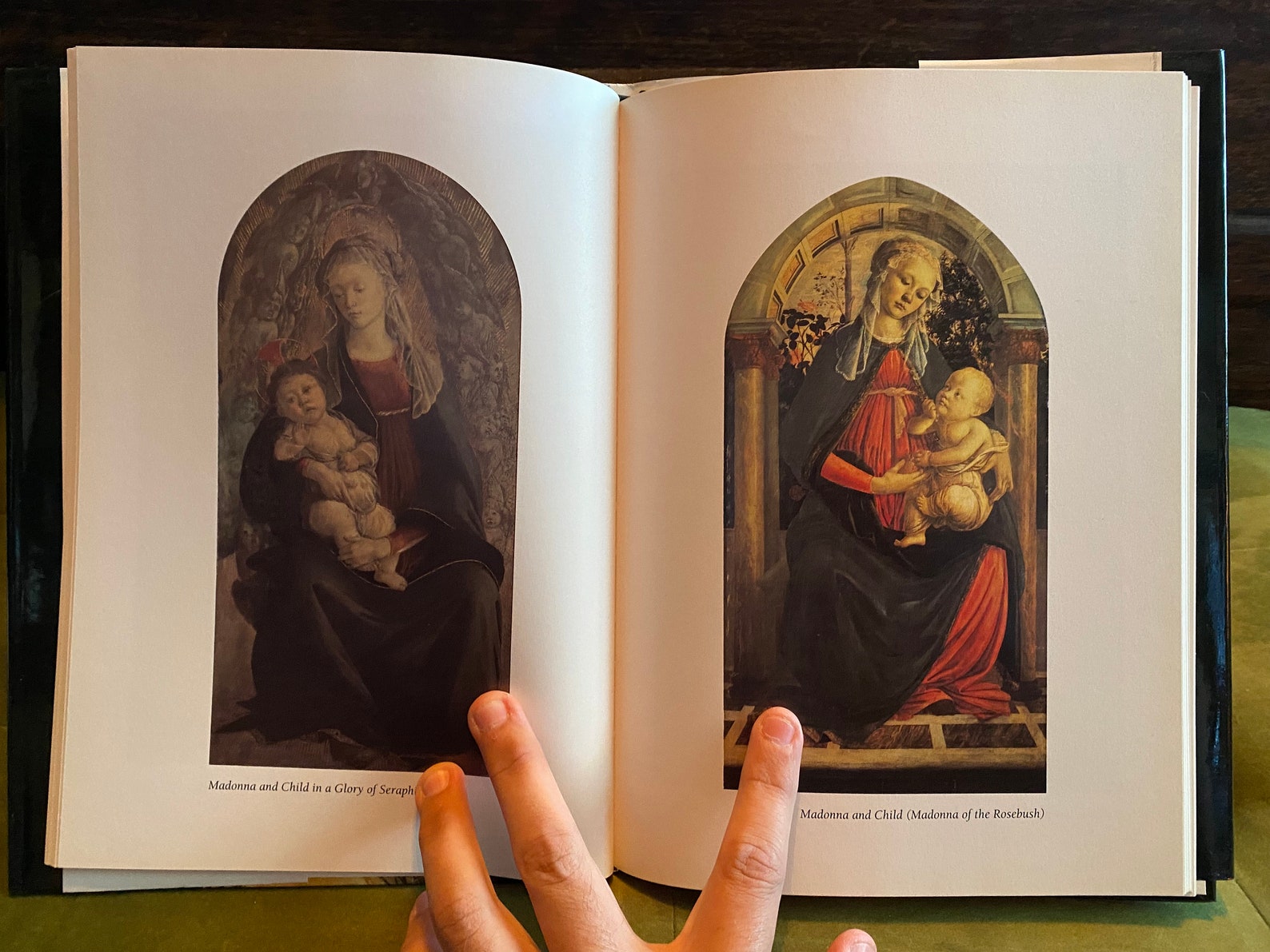 Botticelli Gramercy Great Masters Hard Cover Book - Etsy