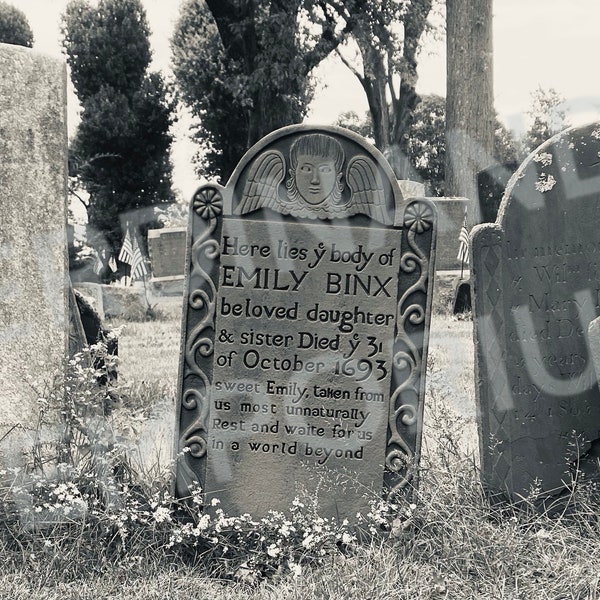 Emily Binx Svg - Etsy