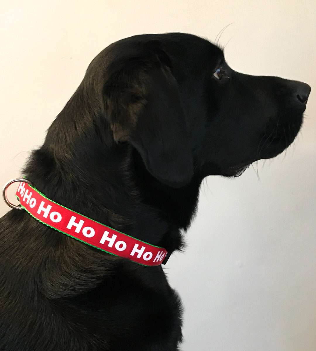 Christmas Collars / Holiday Collars / Christmas Collars for Dogs ...