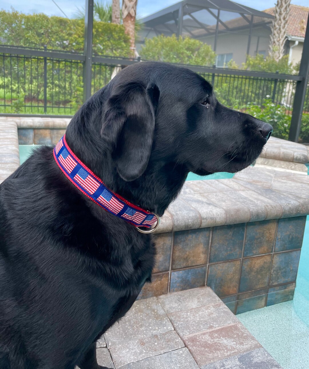 American Flag Dog Collar / American Flag Collar / Flag Collar ...