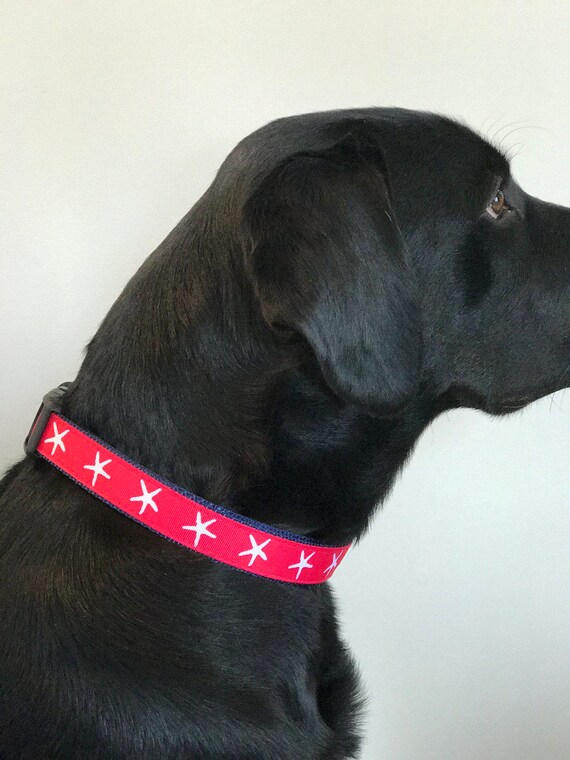 Starfish Dog Collars / Beach Collars / Summer Collars / Sm/Med | Etsy