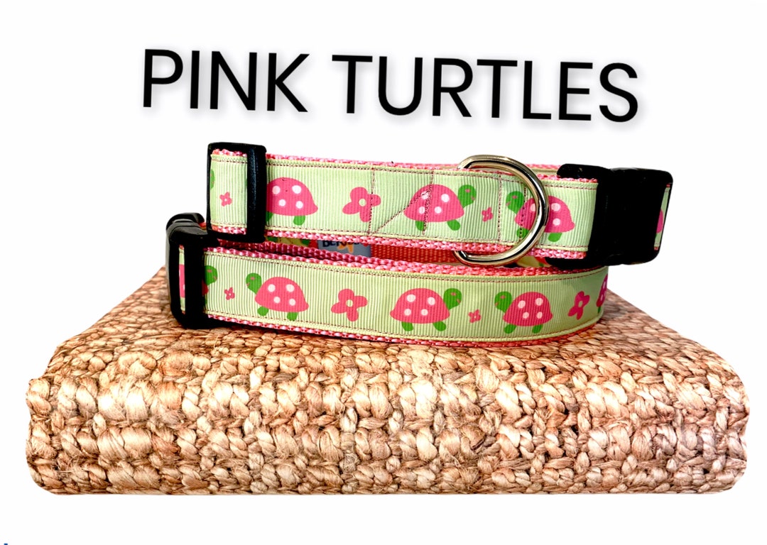 Turtle Dog Collar / Summer Collar / Preppy Collar / Pink and - Etsy
