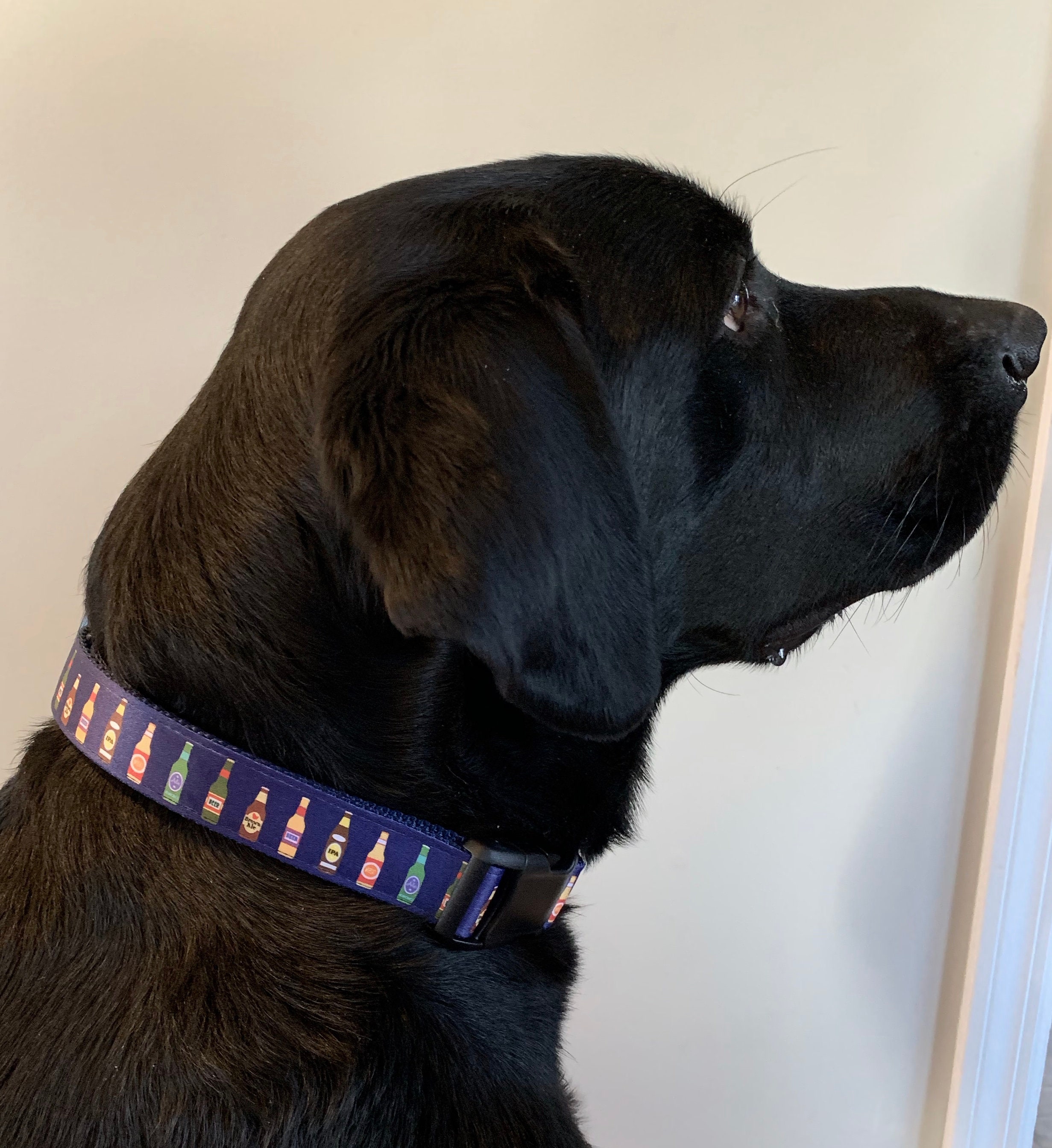 Beer Bottle Collar / Beer Collar / Craft Beer Collar / IPA | Etsy