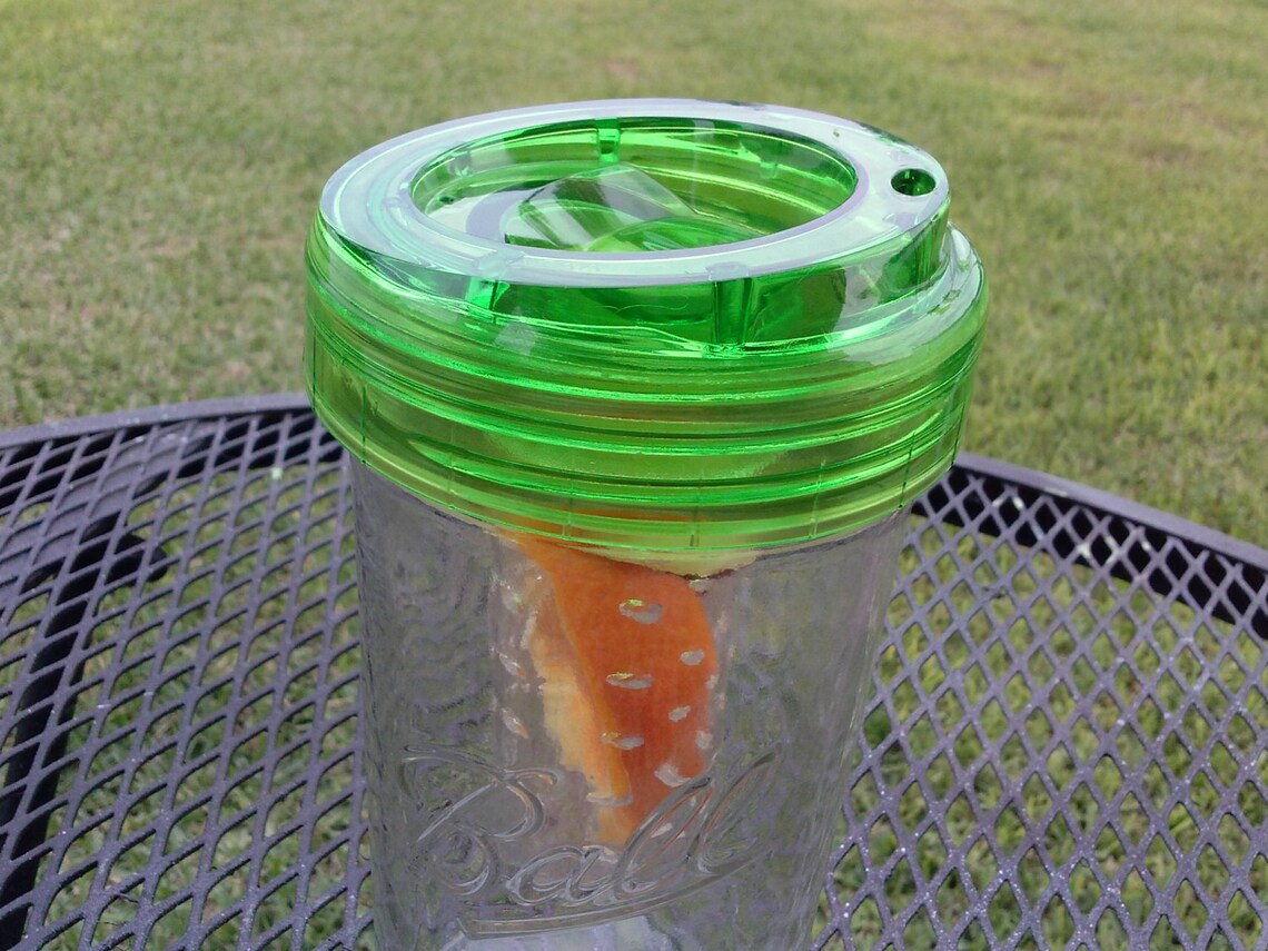 MASON JAR Fruit Infuser With Jar One Glass 24oz Mason Jar - Etsy