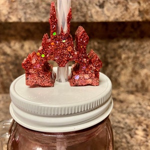 Cinderella Castle Straw Topper Vibrant Colors Choose Your - Etsy