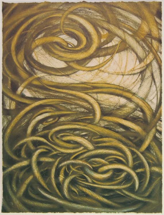 Tenuous Agreements original lithograph by Carrie Lingscheit Lithographs ...