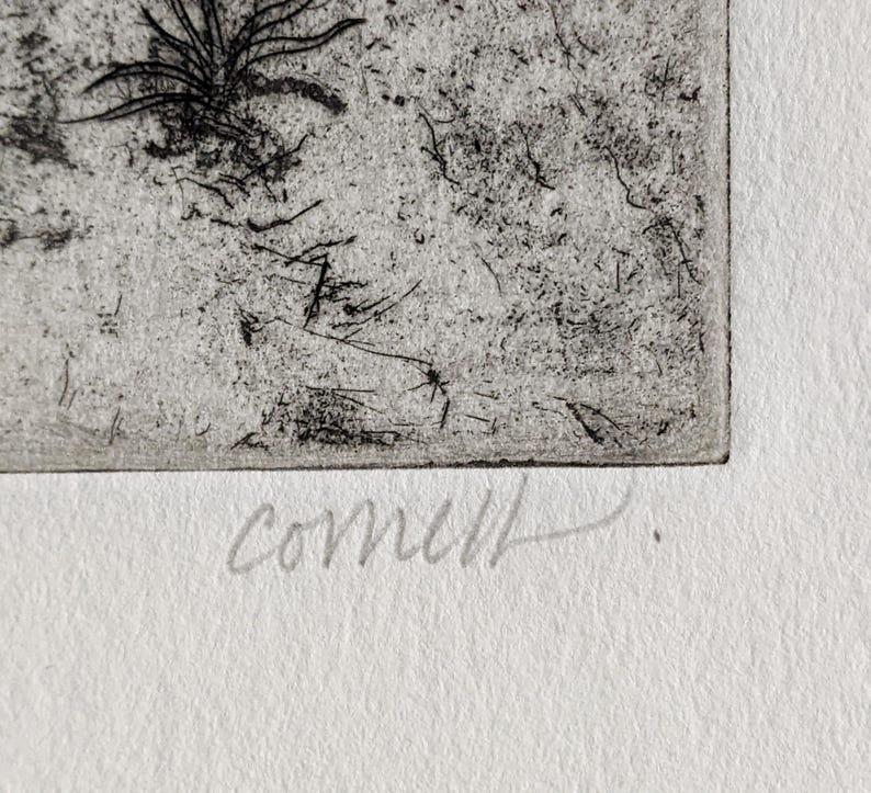Thomas Cornell Etching Adam and Eve Signed Numbered - Etsy