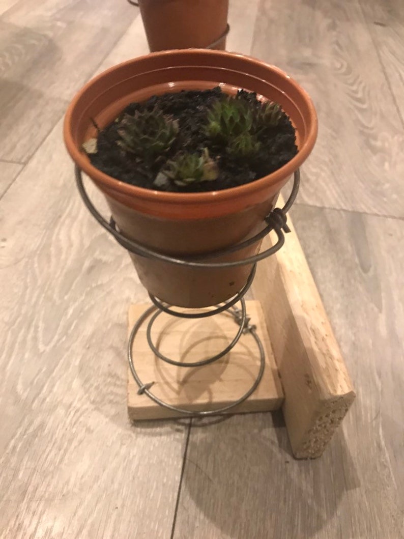 Upcycled Bed Spring Plant Holders With Cactus Plants - Etsy