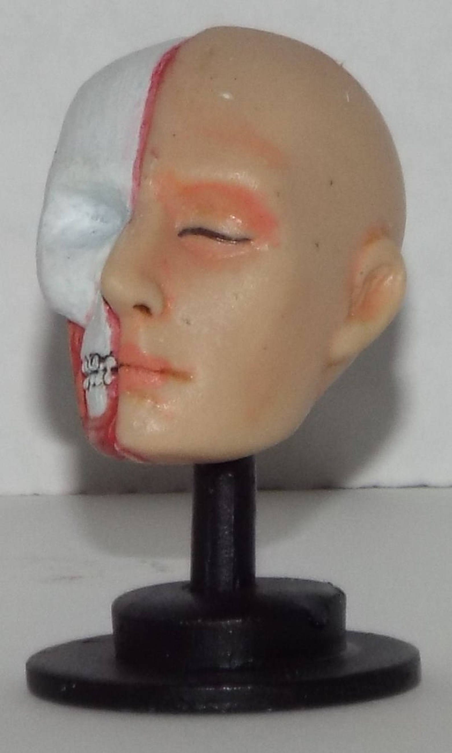 Doll miniature handcrafted human face skull model medical exam | Etsy