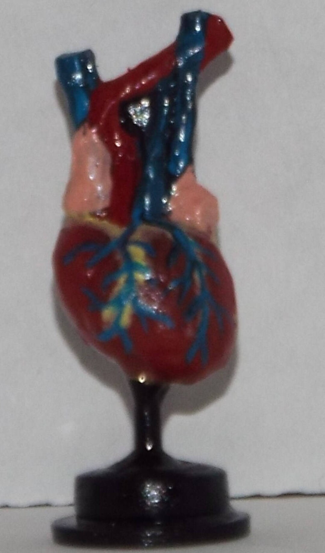 Doll Miniature Handcrafted Heart Model Hospital Medical Exam 1/12th ...