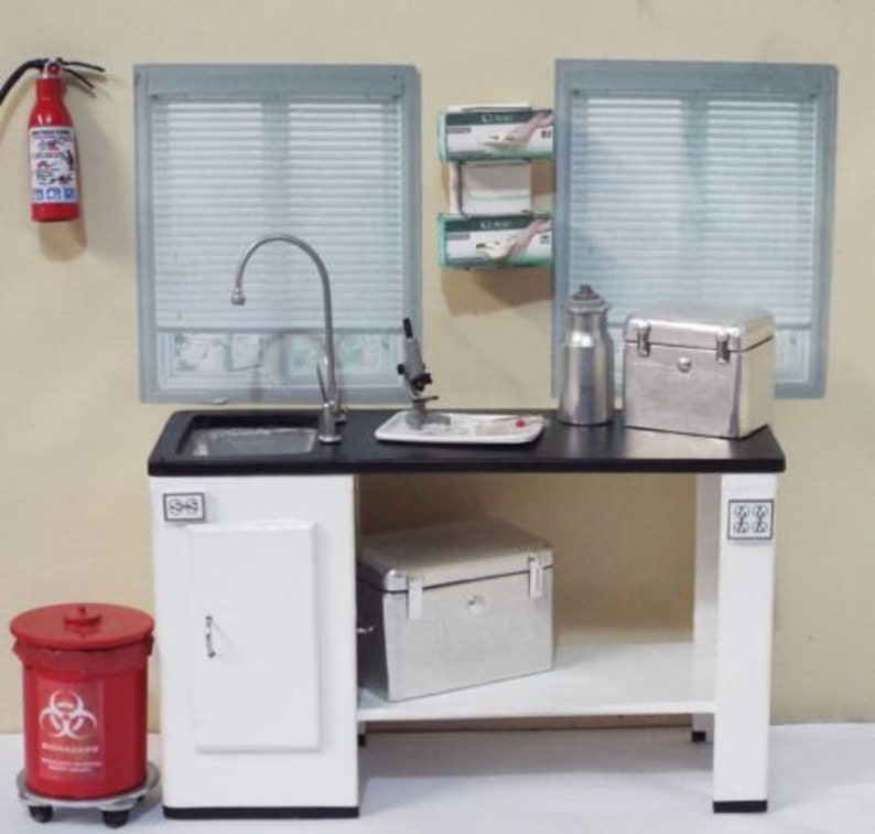 Dollhouse miniature handcrafted Hospital science laboratory | Etsy