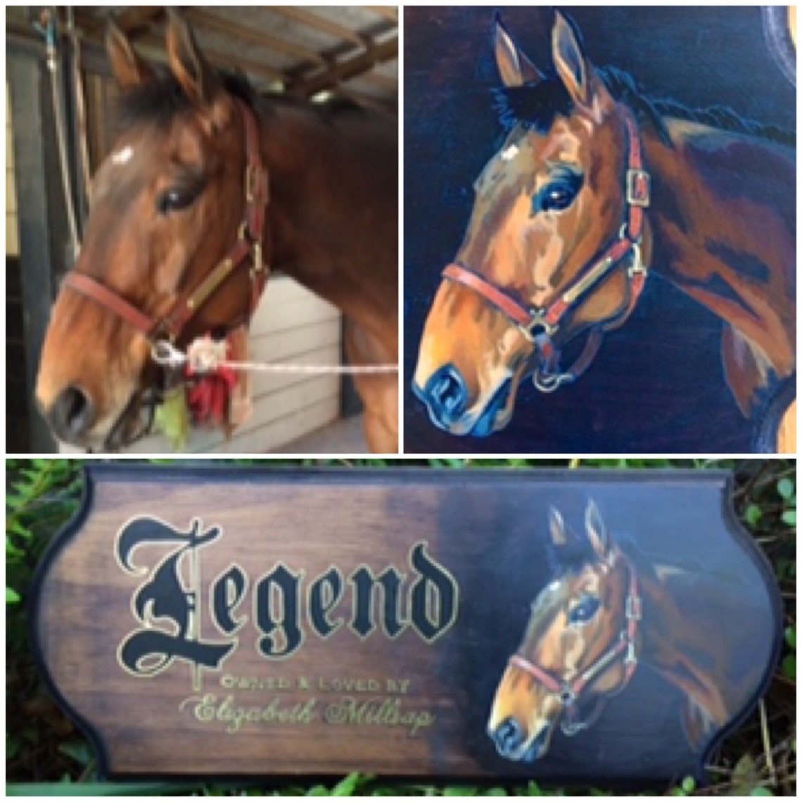 Custom Handpainted Portrait Stall Sign - Etsy