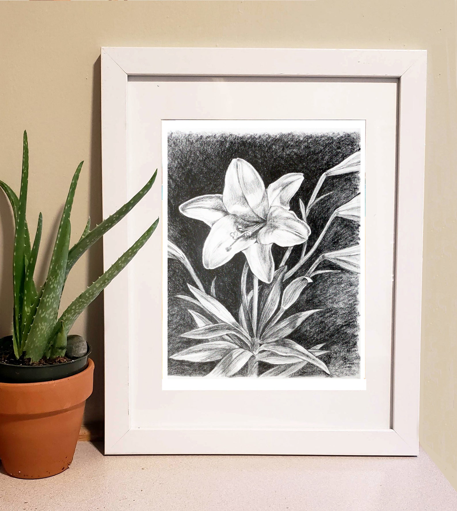 EASTER LILLY PRINT, White Lilly, Pencil Rendering, Botanical Print ...
