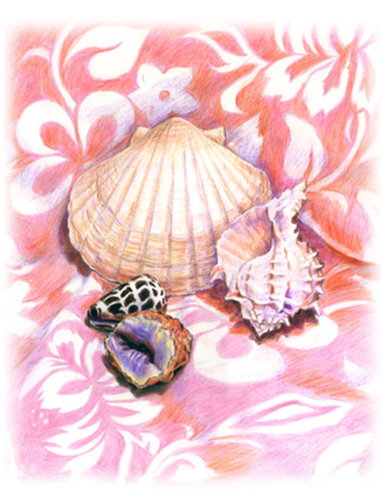 Hawaiian Seashells in Pink, Beach Shells, Tropical Shells, Beach Decor ...