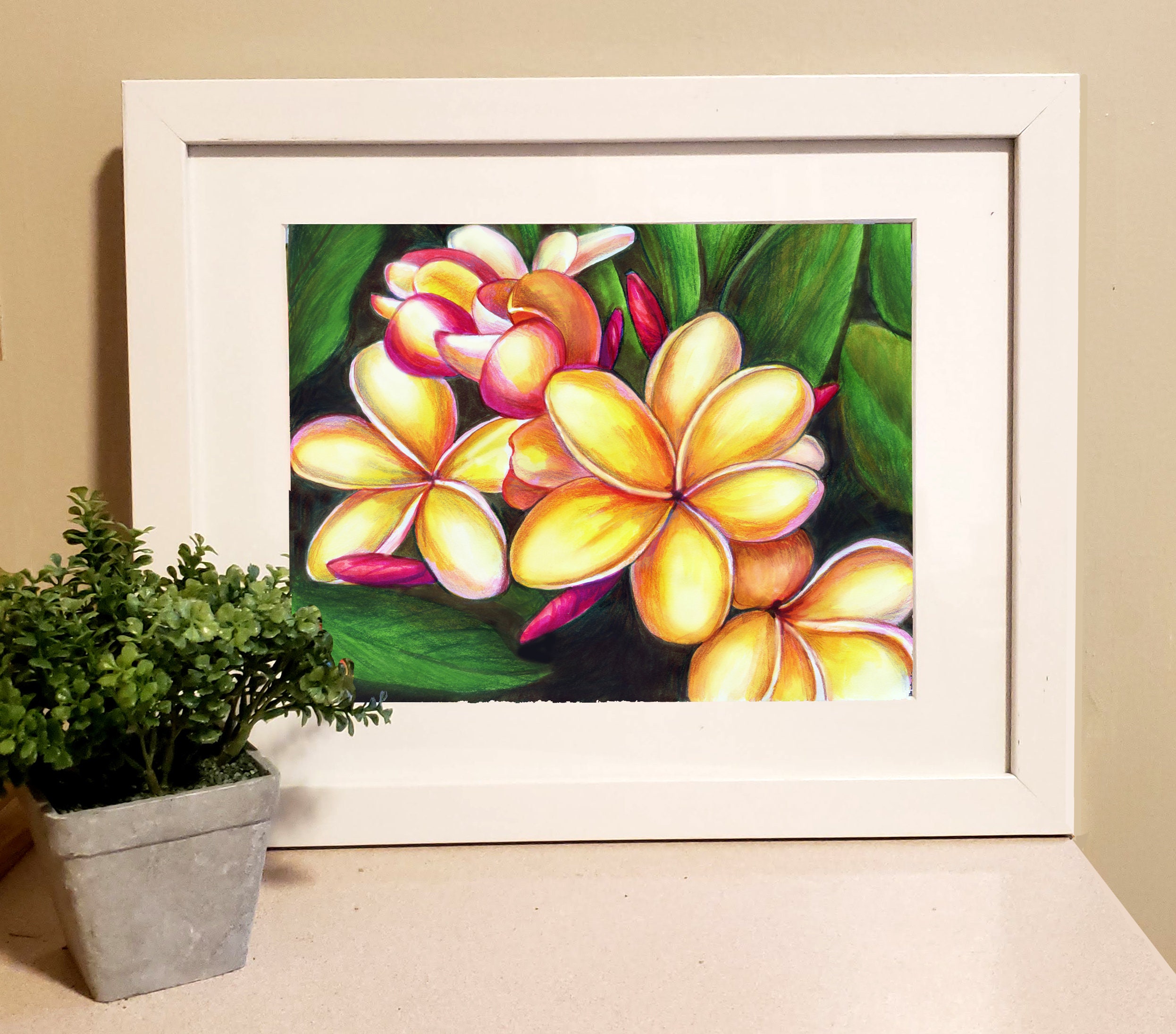 HAWAIIAN YELLOW PLUMERIA, Frangipani Flower, Pua Melia, Polynesian ...