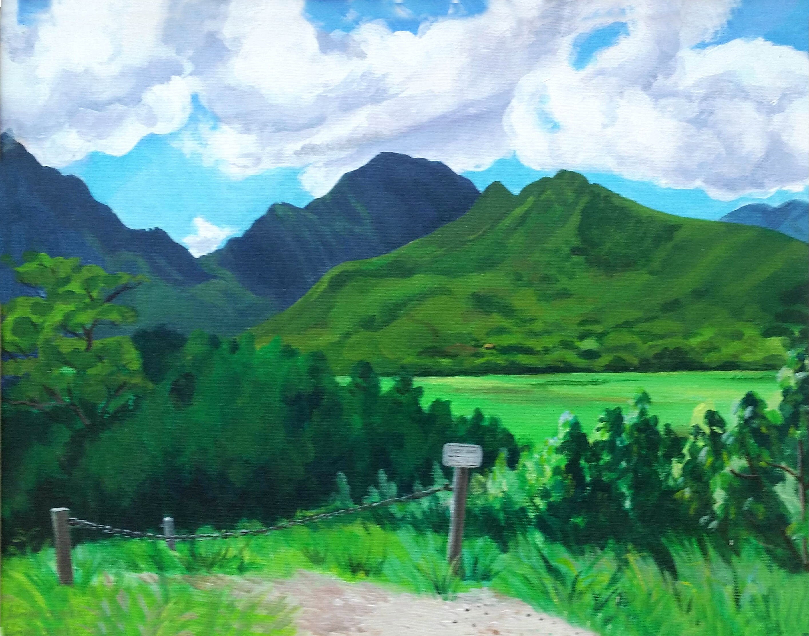 ENTRANCE to KAWAINUI MARSH, Kailua Landscape, View From the Pali ...