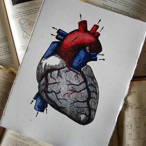 Beat Box IV - Heart - Anatomy - Linocut - Etsy