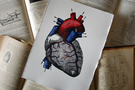 Beat Box IV Heart Anatomy Linocut | Etsy