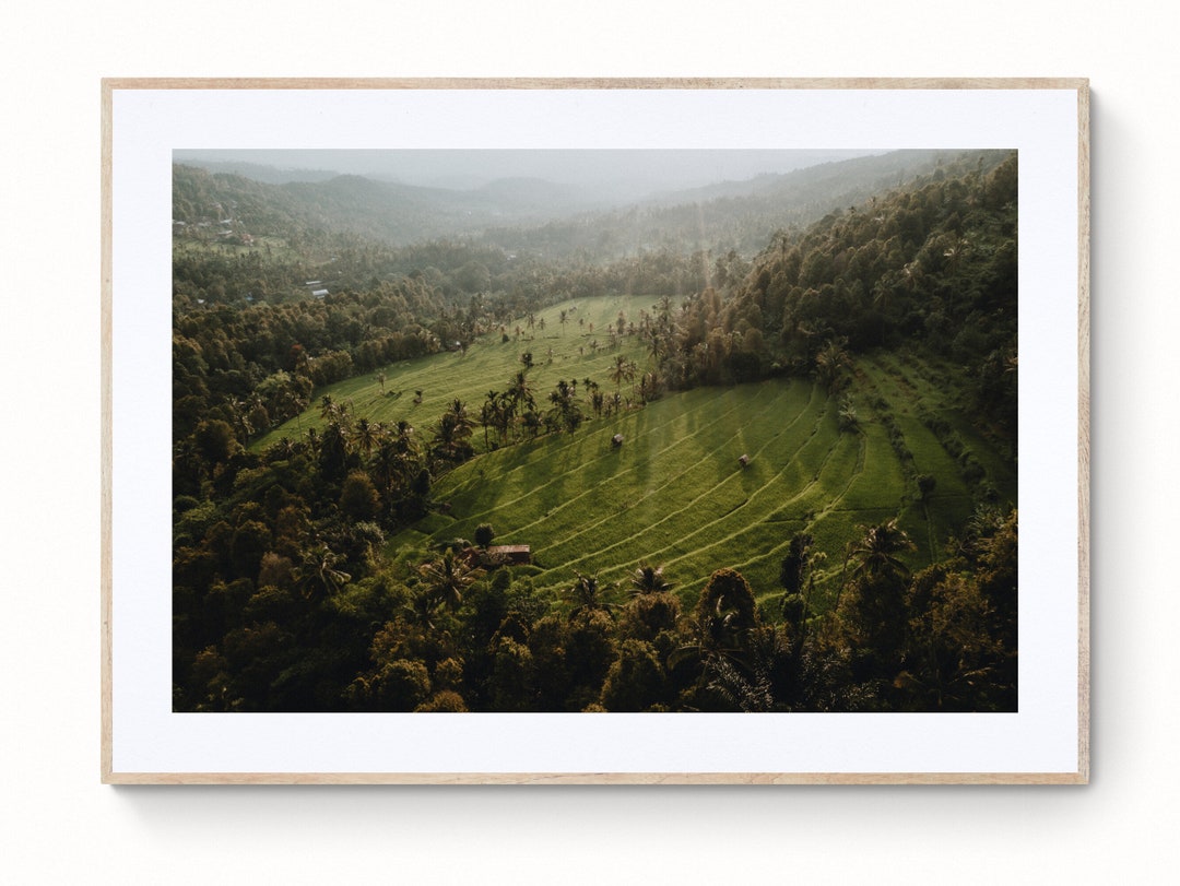 Aerial Rice Field Photo Print, Landscape Wall Art, Rice Field Art Print ...