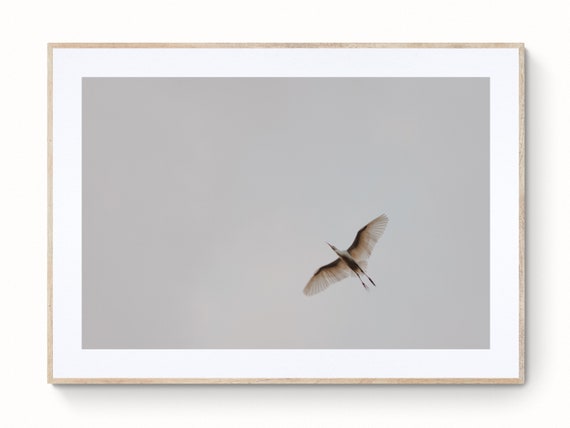 Simple Bird art, Minimal birds Wall print Download, Flying bird print ...