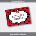 Instant Download Editable PDF Printable Ladybug / Ladybird - Etsy