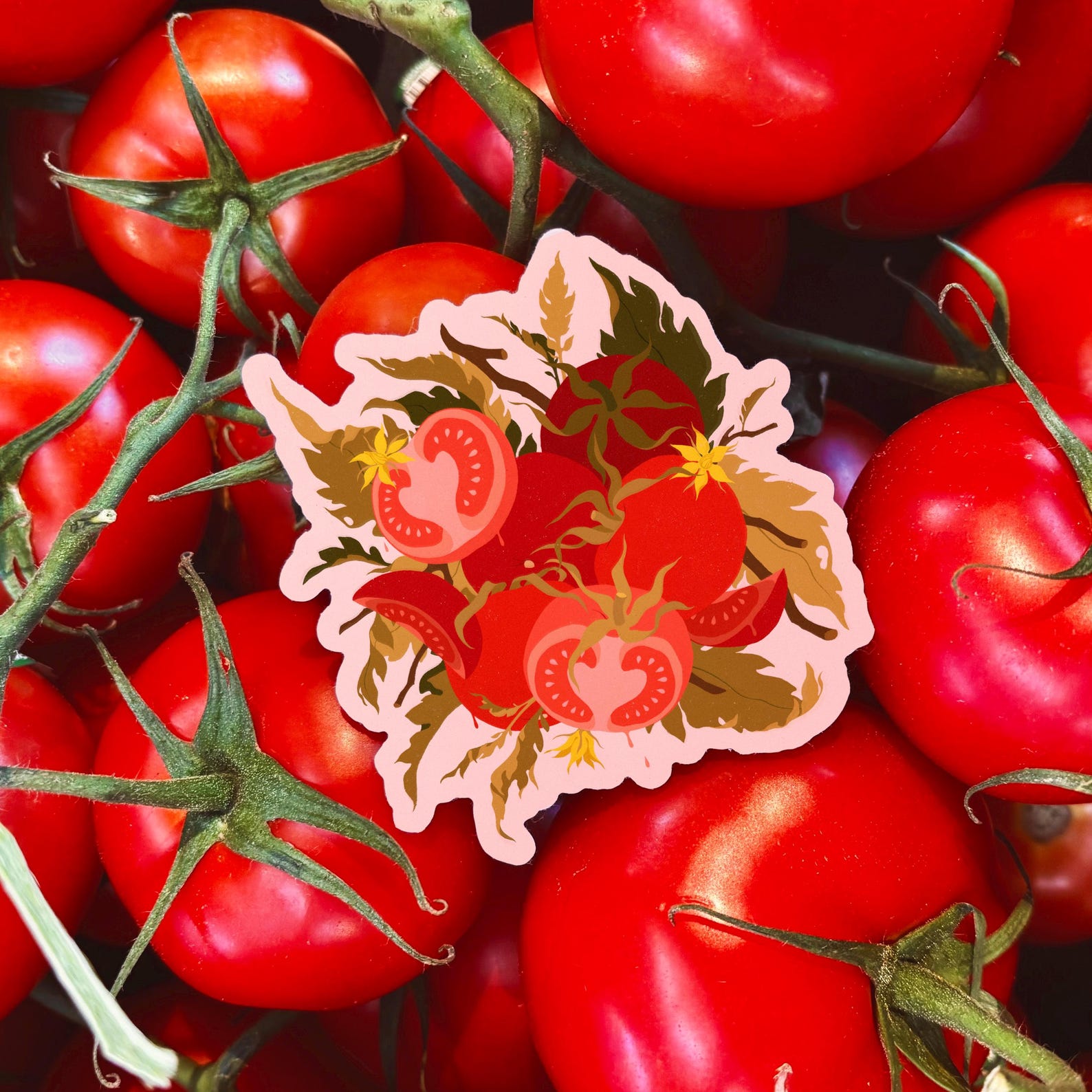 Tomatoes Waterproof Vinyl Sticker - Etsy