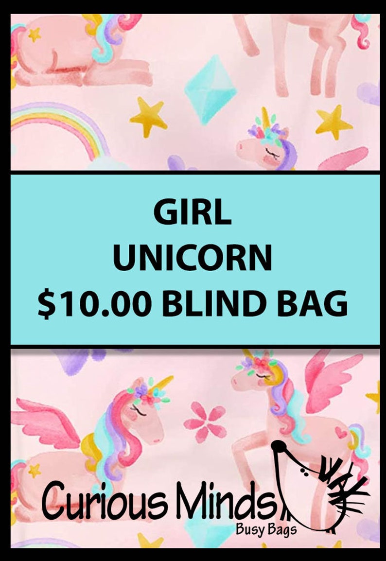 10.00 GIRL THEMED multiple Styles Fidget Blind Bag Mystery - Etsy