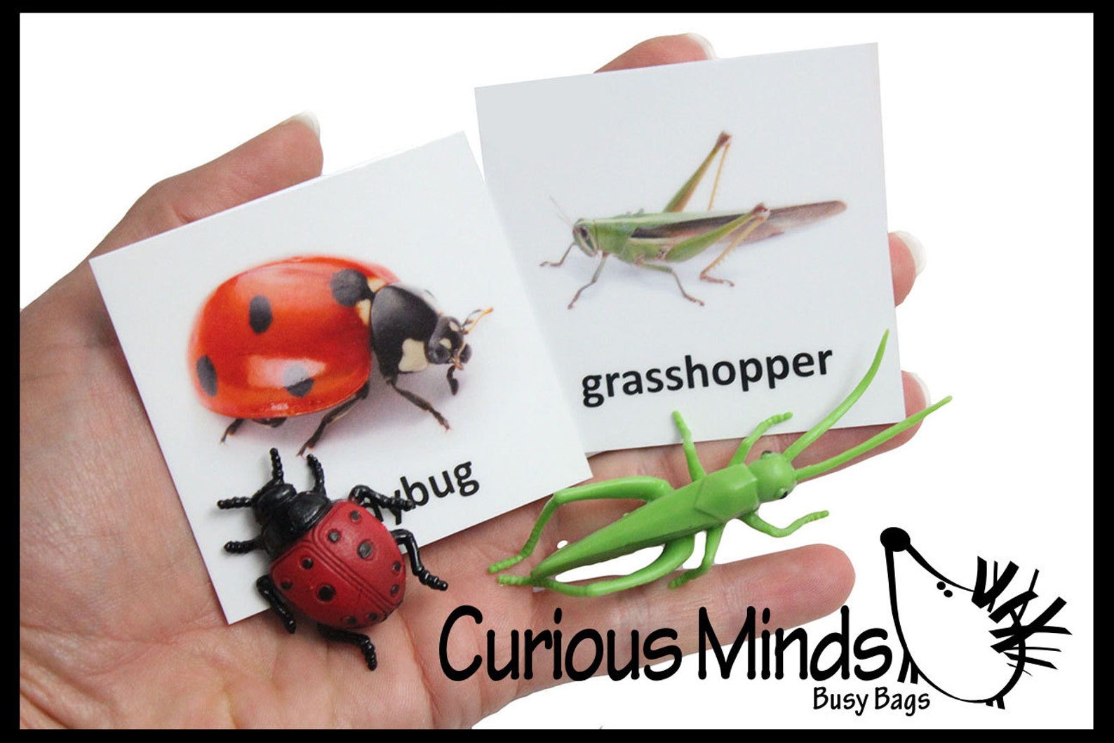 Montessori Insect Animal Match Miniature Animals With - Etsy