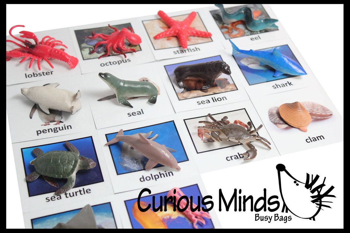 Montessori Ocean Animal Match Miniature Animals With - Etsy