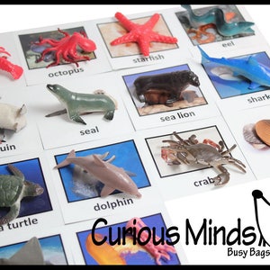 Montessori Ocean Animal Match - Miniature Animals With Matching Cards ...