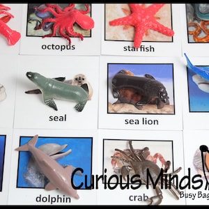 Montessori Ocean Animal Match - Miniature Animals With Matching Cards ...