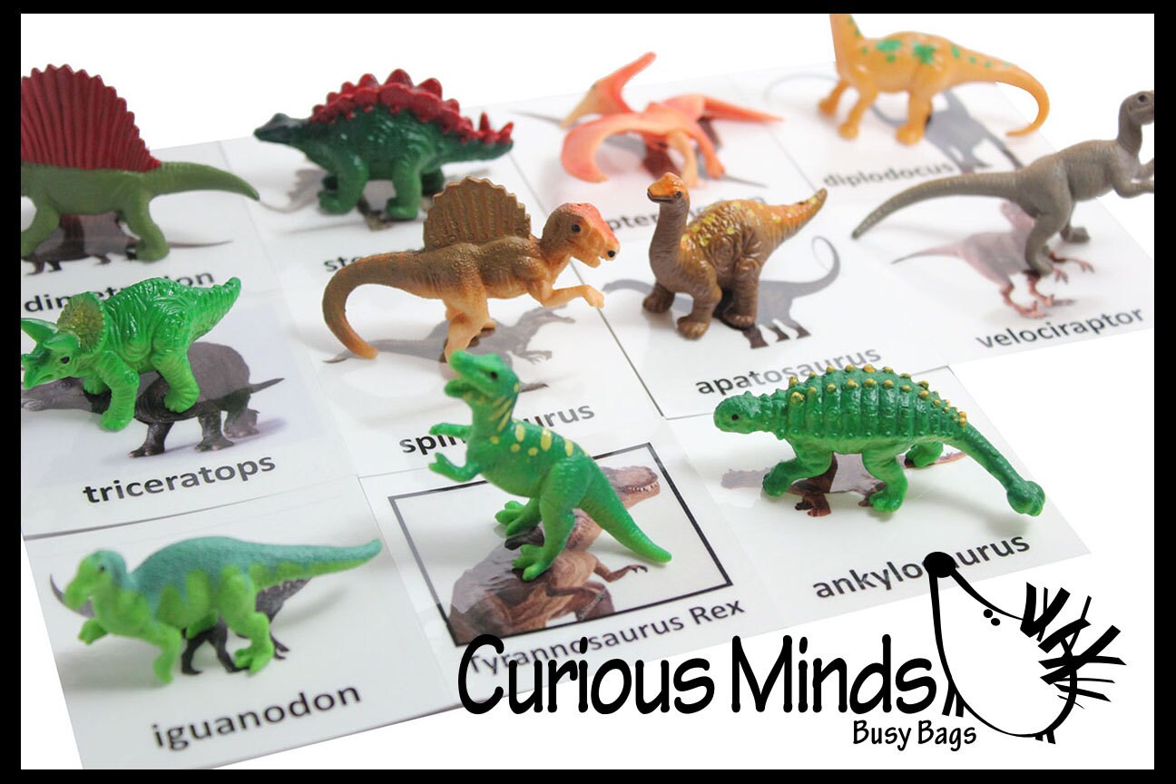 Montessori Dinosaur Object Match Matching miniature dino | Etsy