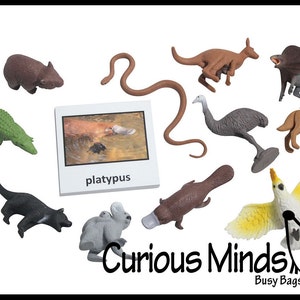 Busy Bag: Australian Animal Match Educational Game Continent Box - Etsy