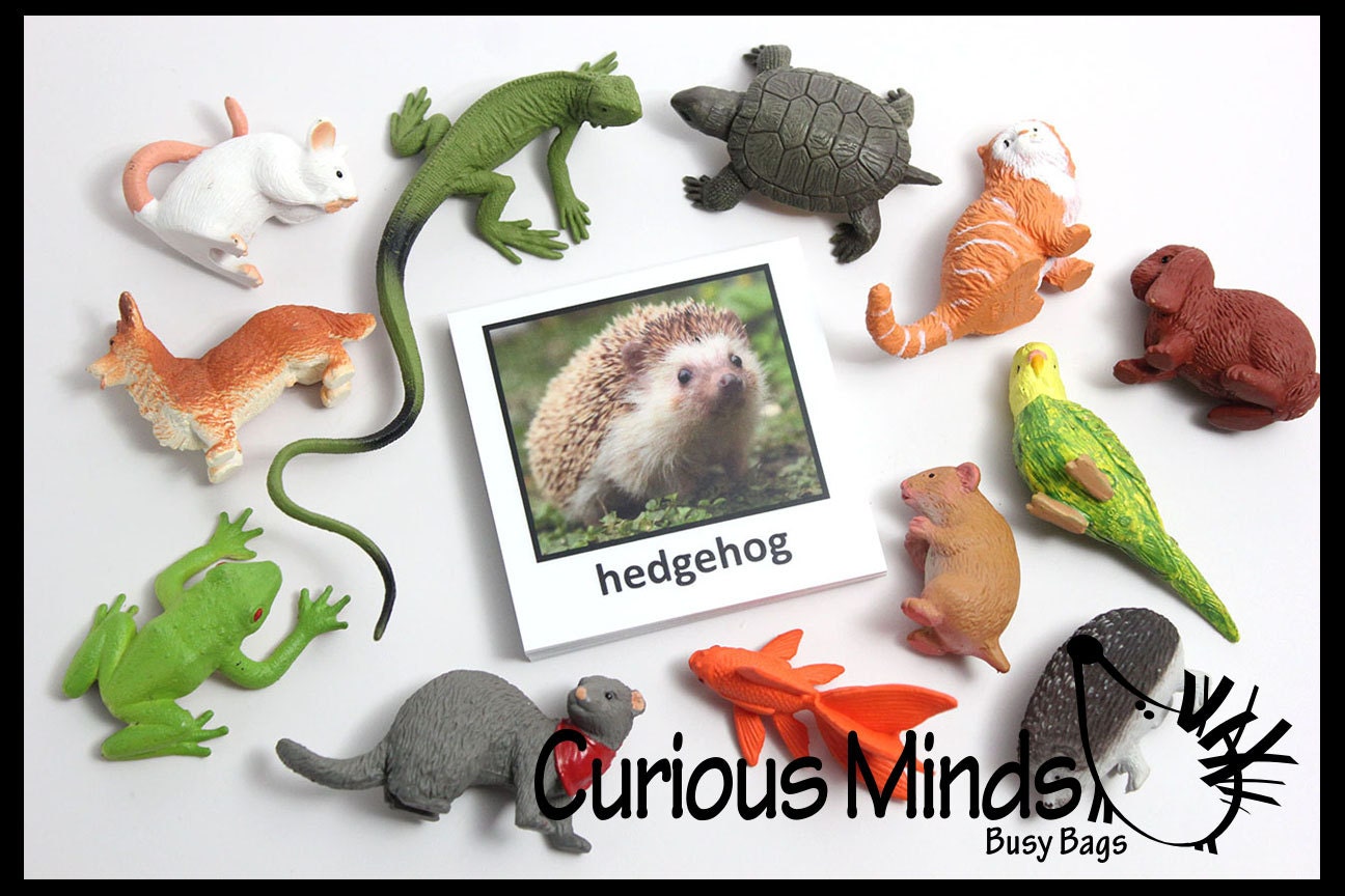 Montessori Pet Animal Match Miniature Animals With Matching | Etsy