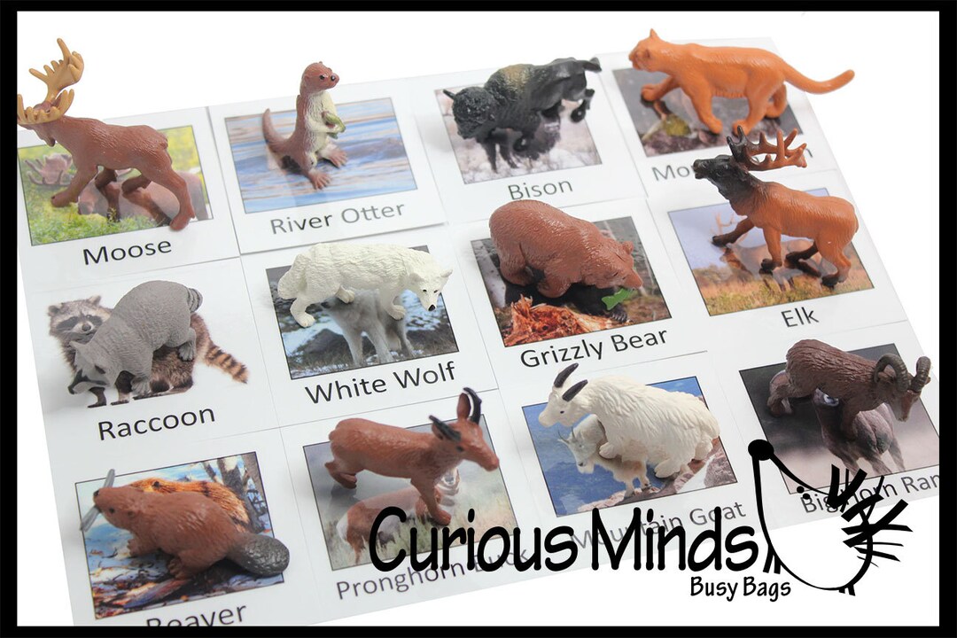 Montessori North American Wildlife Animal Match - Miniature Animals ...