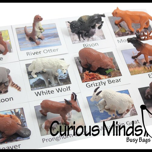 Montessori Farm Animal Match Miniature Animals With Matching - Etsy