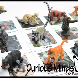 Montessori Rain Forest Animal Match - Miniature Animals With Matching ...