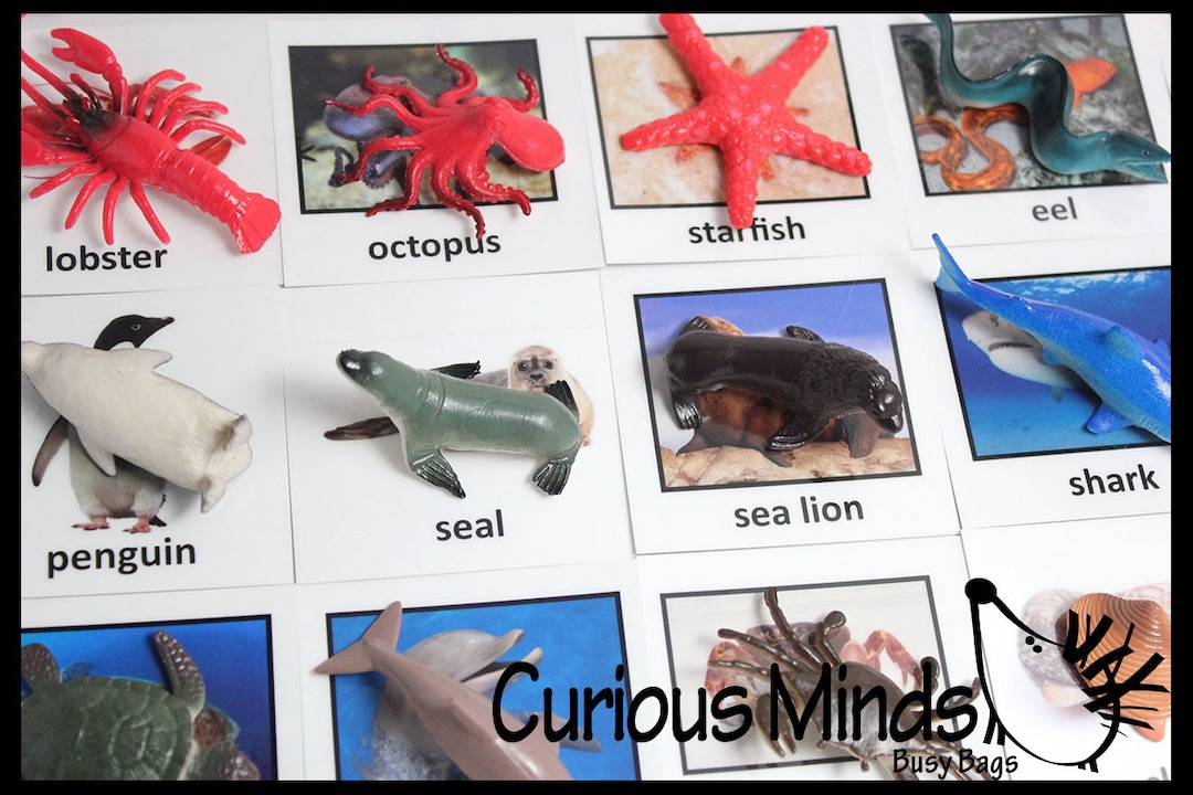 Montessori Ocean Animal Match - Miniature Animals With Matching Cards ...