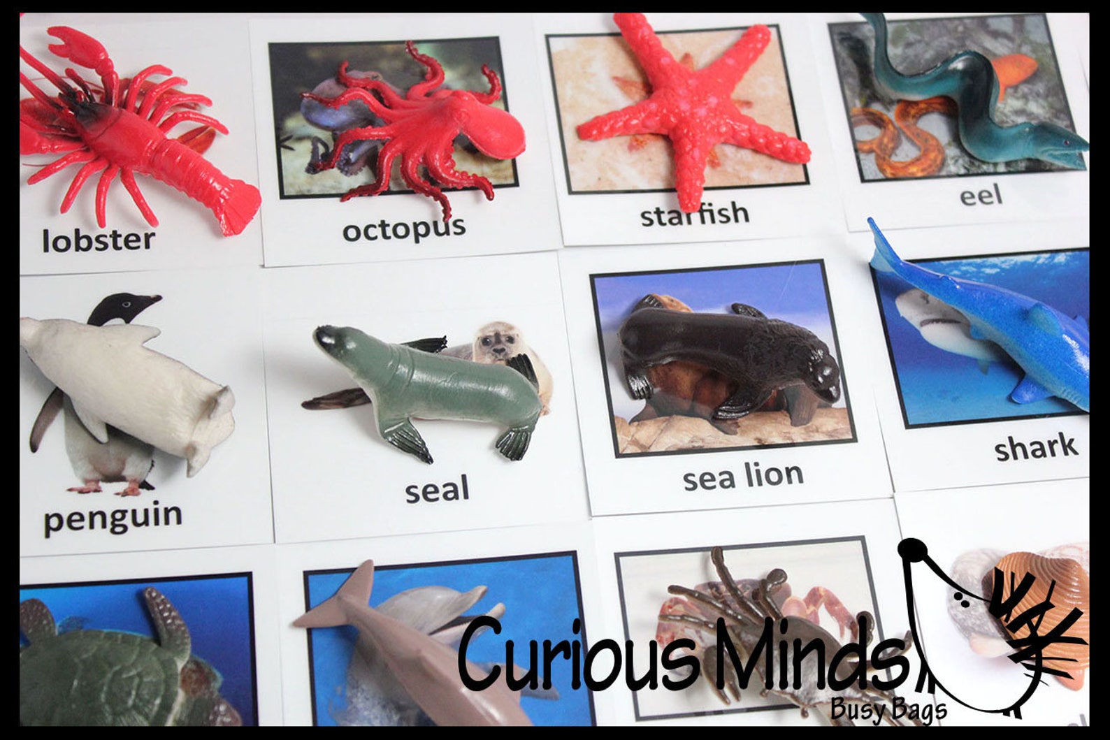 Montessori Ocean Animal Match Miniature Animals With - Etsy Australia