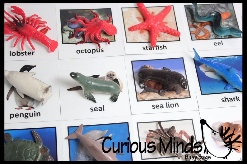 Montessori Ocean Animal Match Miniature Animals With - Etsy Australia