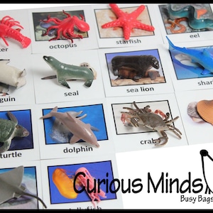 Montessori Ocean Animal Match - Miniature Animals With Matching Cards ...