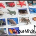 Montessori Ocean Animal Match Miniature Animals With Matching Cards 2 ...